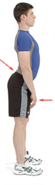 Attention Lumbar Scoliosis Peeps: Stop tucking your tailbones ...